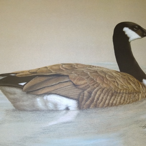 Harold Rigsby | Wall Decor | Canadian Goose By Harold Rigsby 72975 ...